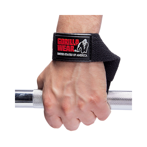 Gurtne – Elit NUTRITION